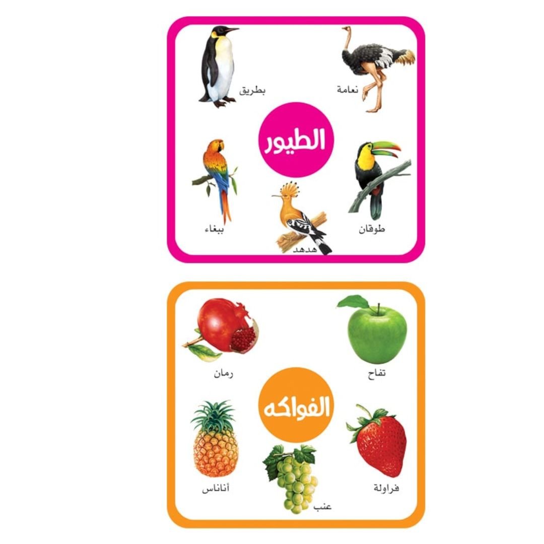 Crocodile Game For Early Education | Arabic – Fun Learning Store