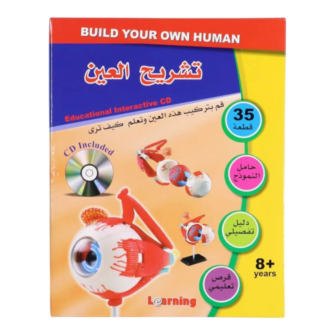 نموذج تشريح العين – أداة تعليمية تفاعلية للأطفال والطلاب – Fun Learning Store