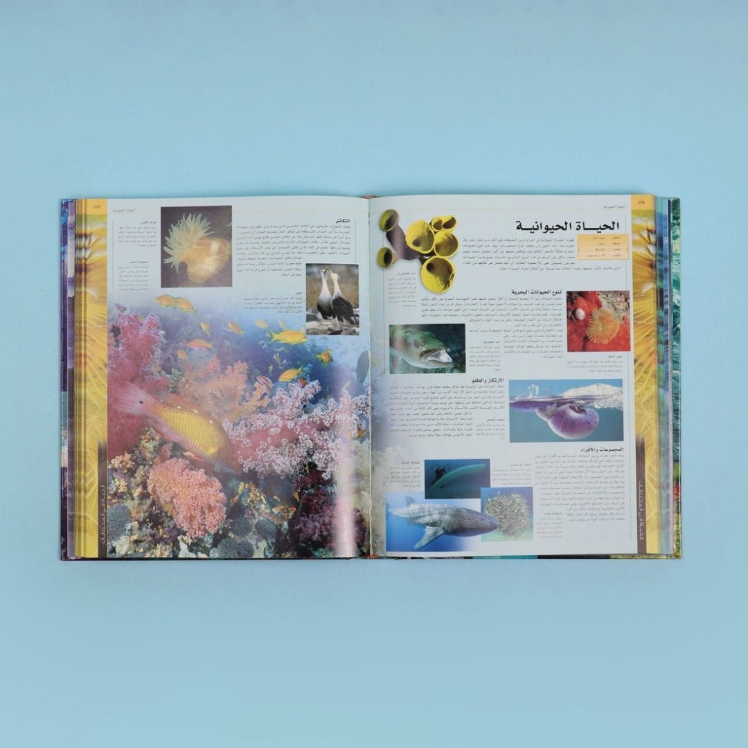 The Ultimate Oceans Encyclopedia by DK – Fun Learning Store